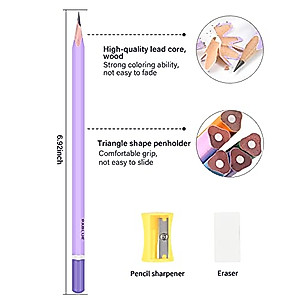 PABLUE HB Graphite Pencils, Triangular Concave Grip Pencils, Fat, Thick, Strong, with Eraser, Sharpener, Suitable for School, Student, Art, Beginner,Drawing,Sketching,Shading(Purple,Pack of 12)