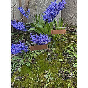 RUAFOX 6 Pack Metal Garden Cloches - 20" High Plant Cover - Weather Resistant Wire Plant Dome - Rustic Farmhouse Chic Decor - with 12 Copper Labels