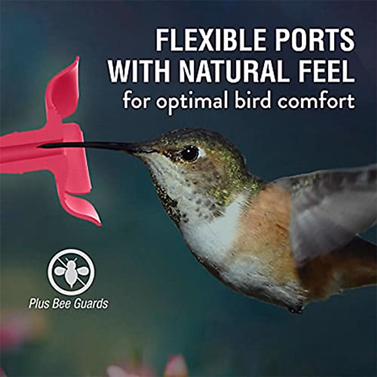 Bird Feeder Feeder Hummingbird Drinking Water Handheld Water Feeder New P-roduct Garden