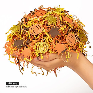PAPER FAIR 1 LB Harvest Crinkle Cut Paper Shred Filler w/Pumpkin Leaf Confetti, Chocolate Brown/Orange/Yellow Fall Leaves Raffia Tissue Craft Bedding Cushion for Thanksgiving