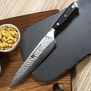 Premium 8 Inch Damascus Chef Knife, VG10 Super Steel 67 Layer High Carbon Stainless Steel Kitchen Knife with Full Tang Handle