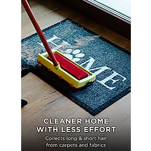 LeBRUSH 2.0 Pet Hair Remover for Carpet for Short & Long Cat, Dog Hair | Remover for Carpet & Couch, Carpet Rake, Pet Hair Removal Tool, Carpet Broom, Pet Hair Rake, Dog Fur Remover