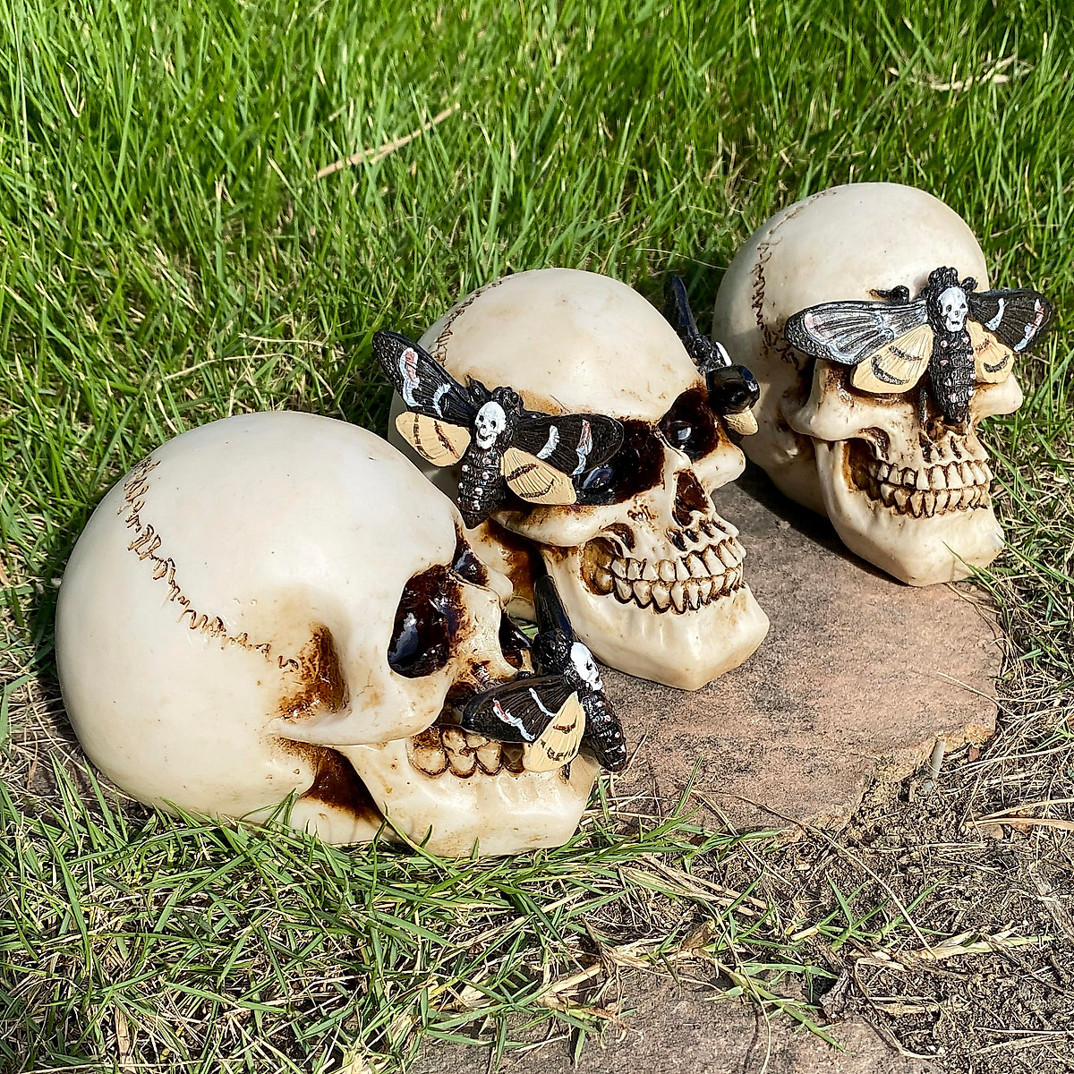 Basuo-9Q Pack of 3 Hear Speak See No Evil Resin Figurines Halloween Decoration Wise Skeletons Statues Black Reapers (Moth-Skulls)