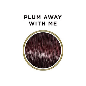 Clairol Professional Flare Me Hair Color Dark 6vv Plum Away, 2 oz