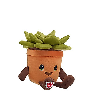 Build-a-Bear Workshop Buddies Succulent Gift Set