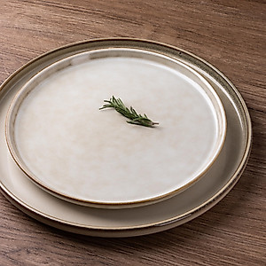 GBHOME Ceramic Dinnerware Sets for 4, 12 Pieces Stoneware Plates and Bowls Sets, Chip and Scratch Resistant Dishes, Dishwasher & Microwave Safe, Reactive Glaze-Cappuccino