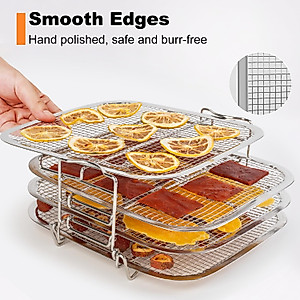 SICHEER Dehydrator Rack Stainless Steel Stand Accessories Compatible with Instant Vortex Plus 6 quart Air Fryer, Ninja Foodie Grill, Chefman 8 quart Air Fryer, 4 layers
