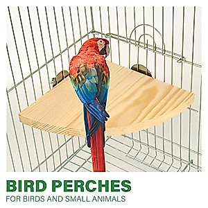 2 Pieces Bird Perches Bird Platform Perch with Pet Toys Bird Cage Accessories Parrot Perch Bird Rest Platform and Training Toy for Parakeet Gerbil Cockatiel Budgie Rat Mouse Chinchilla Hamster