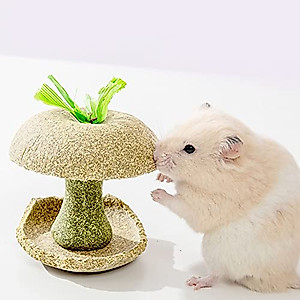 LUOZZY Hamster Chew Toys for Teeth Grinding Chinchilla Teeth Grinding Toys Portable Hamster Treat Chew Toys for Dwarf Hamsters Rat Guinea Pigs