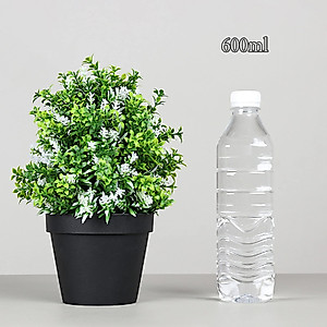 FELICIGG 2 Pack Artificial Plants in Pot, Faux Potted Greenery Plant for Indoor Decorations, Small Fake Plastic Plant for Home Office Garden Decoration,D+d