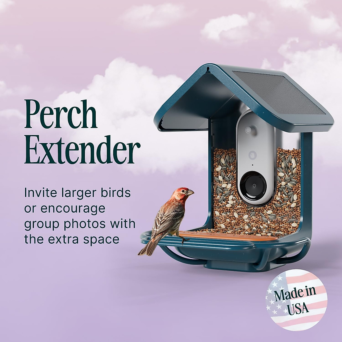 Bird Buddy Blue Perch Extender – Add-On Accessory for Better Bird Watching Experience - Outdoor Bird Perch for Feeding Multiple Birds - Weatherproof and Durable for Large Bird Species