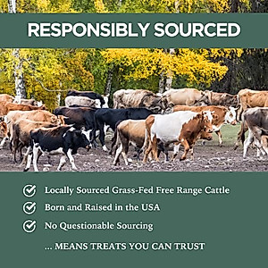 K9 Connoisseur Low to Odor Free Slow Roasted Beef Lung Dog Treats Made in USA, One Ingredient Dog Treats & All Natural Dog Treats, Grain Free Dog Treats for All Breeds & Sizes - 2.5 Pounds