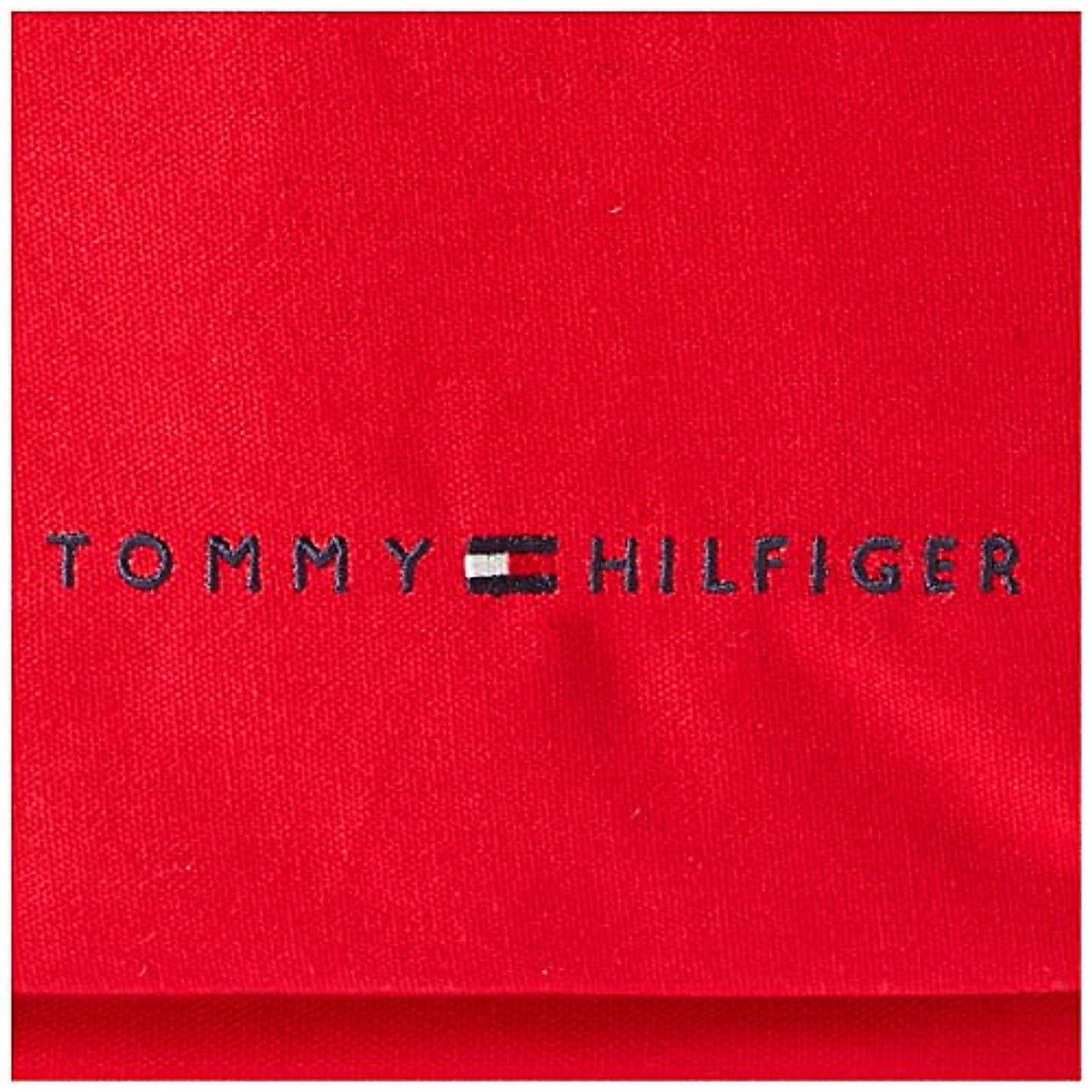 Tommy Hilfiger Men's Jackson Canvas Backpack