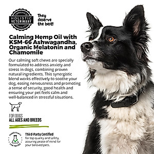 ANP Premium Organic Hemp Oil Calming Chews for Dogs - No Animal Proteins Separation Anxiety & Stress Relief - Clinically Studied KSM-66® Ashwagandha - Promotes Relaxation, Improves Sleep - Made in USA