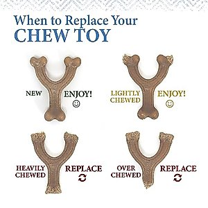 Nylabone Dog, Puppy Gourmet Style Strong Chew Toy Wishbone Peanut Butter Small/Regular (1 Count)