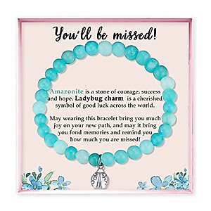 Diosky Retirement Gifts for Women, Coworker Leaving Gifts, Farewell Gifts Good Luck Goodbye Going Away New Job Jewelry Gift Idea for Friends Coworker Boss Teacher