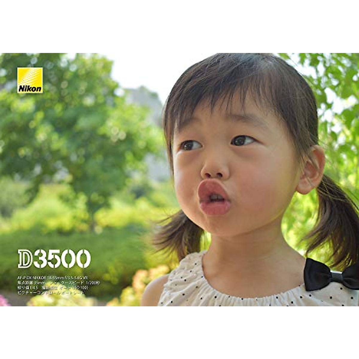 Nikon D3500 24.2MP DX-Format DSLR Digital Camera (Body Only) - (Black) - (Japan Import)