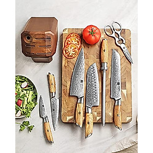XINZUO 8-Piece Damascus kitchen Knife Set with Block& Kitchen Scissors, Hand Forged 73 Layer Damascus Powder Steel Professional Chef Knife Sets, Olive Wood Handle, Gift Box