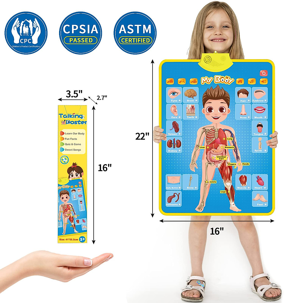 JOYLEARN My Body Interactive Educational Poster for Toddlers and Kids to Learn Body Parts, Organs, Muscles and Bones, 16'' x 22''