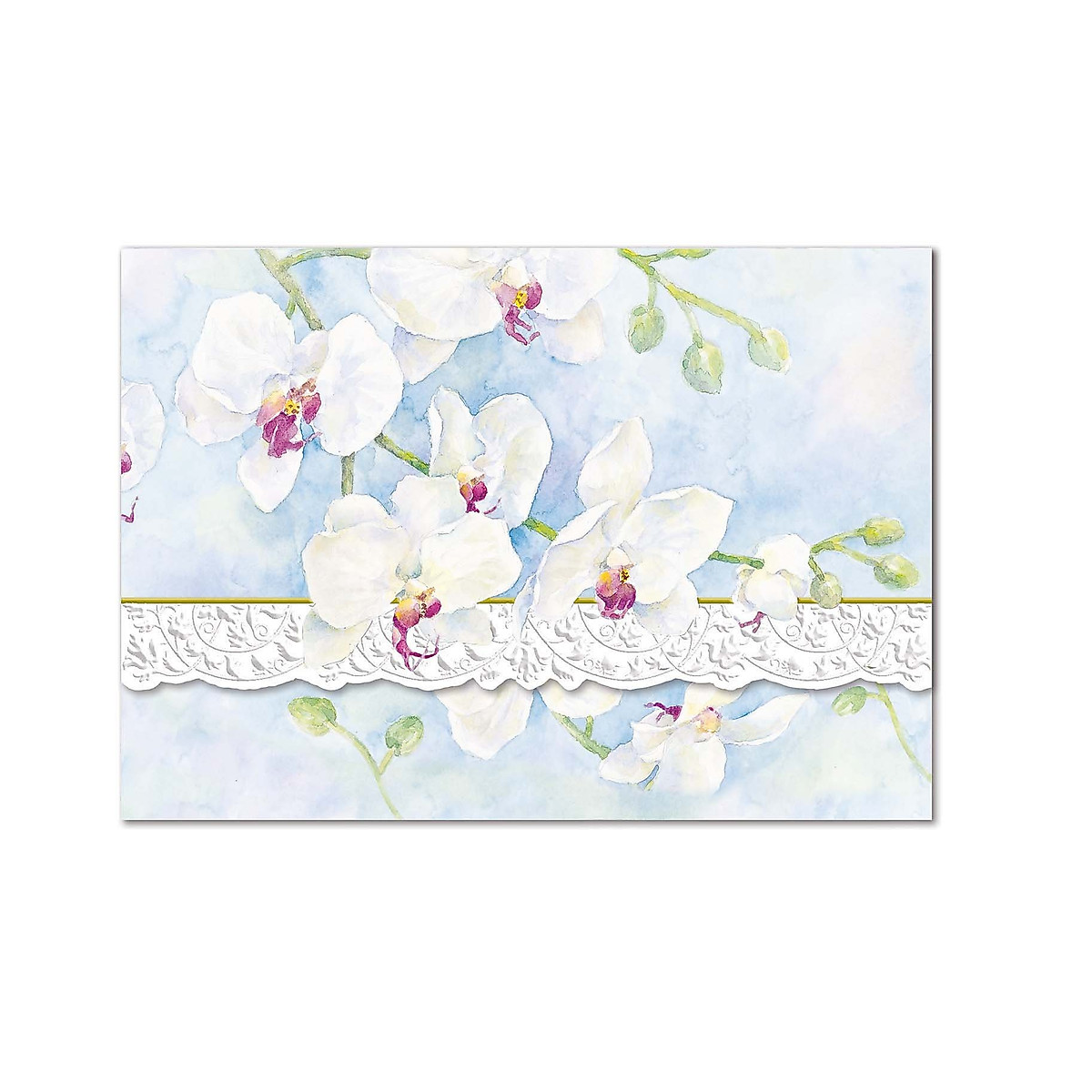 Carol Wilson Fine Arts Inc.- White Orchid - Embossed & Die Cut Blank Note Cards in Portfolio Box - 10 count - ncp2213