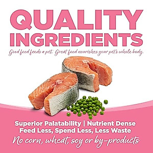 NutriSource Pure Vita Limited Ingredient Grain Free Dry Dog Food, Small Bites, Salmon and Peas, 15LB