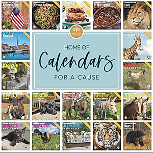 2024 The Beatles Wall Calendar by Red Robin, 12 x 12