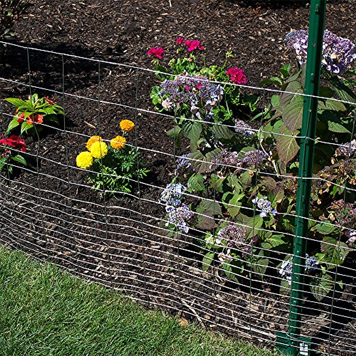 YARDGARD 308361B 36 inch 50 Foot 16 Gauge Welded Wire Economy Fence, Height x Length-50 Ft, Color - Galvanized