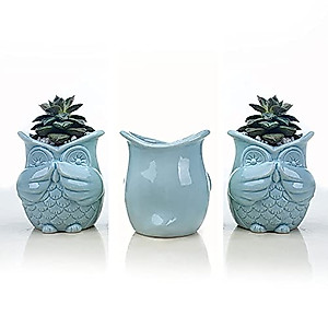 YONGYAN Owl Flower Pot Statue Decoration Ceramics Garden Planters Containers Pot Bookshelf Office Desktop Decor (Blue)