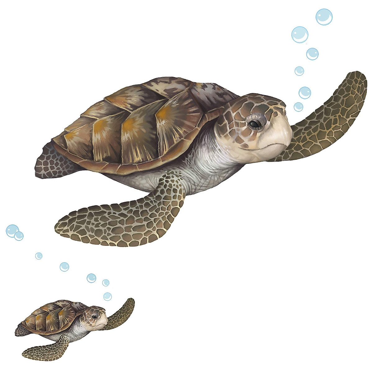 Sea Turtle Wall Decals for Kids Room Decor Bundle Under The Sea Decoration Wall Stickers, Underwater Ocean Tortoise Beach Art for for Boys Girls Bathroom Bedroom Playroom