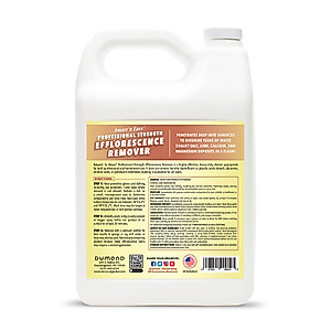 Smart 'n Easy Efflorescence Remover - Heavy Duty Professional Strength Formula - Removes The Toughest Salt, Calcium, and Magnesium Deposits from Concrete, Brick, Stucco, Pavers, & More - 1 Gallon