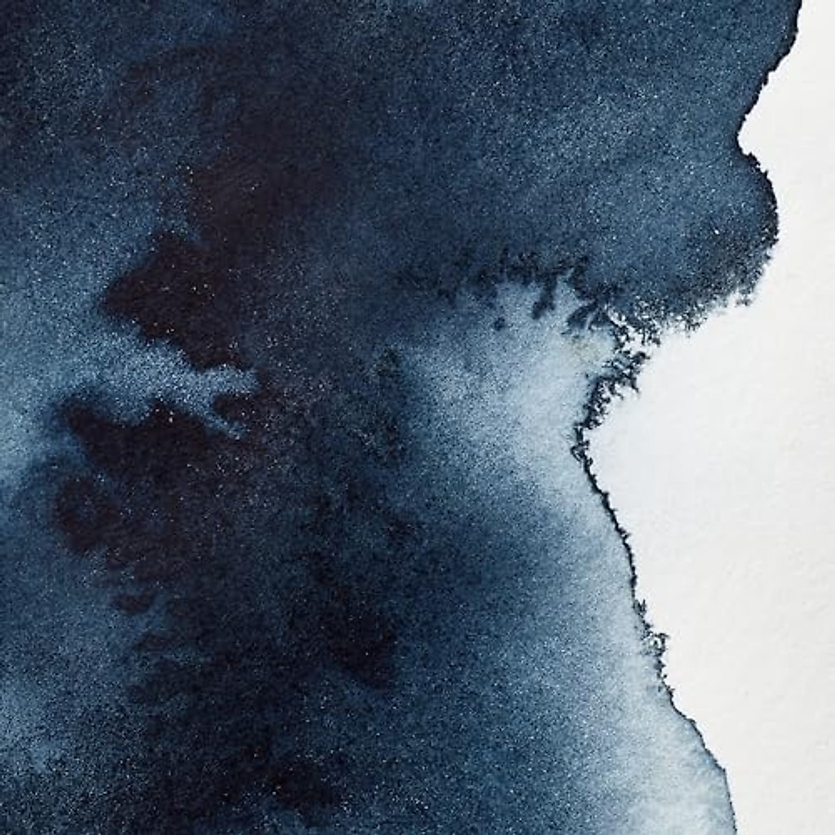 Winsor & Newton Professional Water Colour Paint, 0.17-oz Tube, Payne's Gray