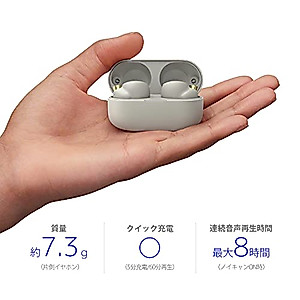 Sony Truly Wireless Noise Cancelling Headphone - Optimised for Alexa and Google Assistant - with Built-in mic for Calls - Bluetooth Connection - WF-1000XM4S.CE7 - Limited Edition - Silver/Gold