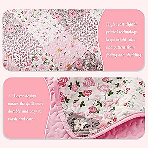Whale Flotilla 3-Piece Printed Queen Size Quilt Bedding Set with 2 Pillow Shams Lightweight Reversible Bedspreads Coverlet Set for All Season, Pink