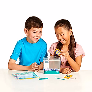 Little Live Aqua Dragons - Deep Sea Habitat - LED Light Up Tank Hatch and Grow Aquatic Pets