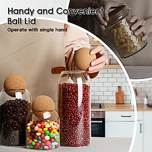 NUTRIUPS Storage Glass Jar Set Food Storage Tank With Wooden Lid 500 ML,800ML,1200ML