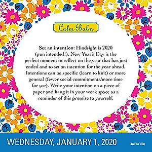 You Are Doing a Freaking Great Job Page-A-Day Calendar 2020