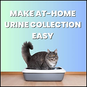 Creative Science Nosorb Non-Absorbent Cat Litter | 6 oz | Easily Collect Urine Samples from Cats
