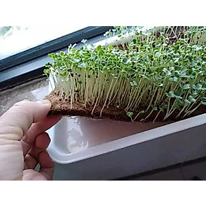 V Care US 2 pcs Worm Bin Blankets 100% Bio-degradable Jute Fibre for Compost Bin,Worm Farm,Worm Composter,Compost Tumbler