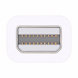 Apple Thunderbolt to FireWire Adapter