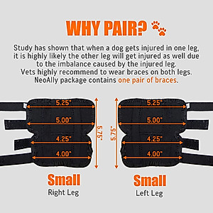 NeoAlly - Rear Leg Hock Brace with Metal Spring Strips, Dog Leg Brace for Rear Leg, Hock & Ankle Support, Rear Dog Leg Brace for Large Dogs, Long. (Both Legs, Small)