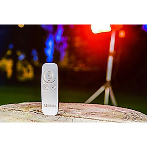 1500 Watt Gold Coated Tungsten Quartz Infrared Heater Remote Controlled Patio Heater/on Off/High/Low/med