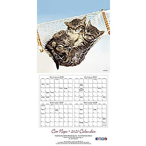 2021 Cat Naps 16-Month Wall Calendar