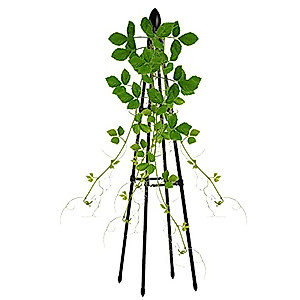 Garden Trellis for Climbing Plants - Trellis for Potted Plants, Garden Trellis for Climbing Plants for Outdoor Climbing Support, Metal Wire Pot Trellis, Rose Tree, Sweet Pea, Frame Stand for Garden