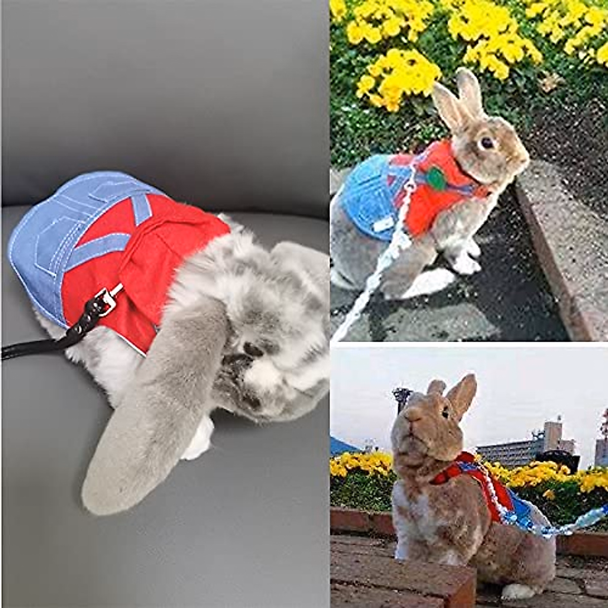 Anelekor Small Pet Costume Rabbit Clothes Ferret Hoodies Sweatshirt Bunny Vest Harness and Leash Set Kitten Sweater Small Animals Outfits for Chihuahua Kitty Mini Dog and Small Breeds (A, S)