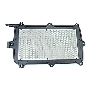 LIDNADY 17215-HL46-A00 UTV Air Filter Compatible With Honda Talon 1000R 1000X 2019 2020 2021 2022 | 1000X-4 2020-2022, Factory-OE-Style Replacement Air Cleaner Element Filtration Parts