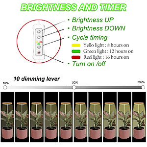 Plant Grow Light for Indoor Plant,Bamboo Mini LED Grow Light Garden,Height Adjustable,Automatic Timer with 8/12/16 Hours