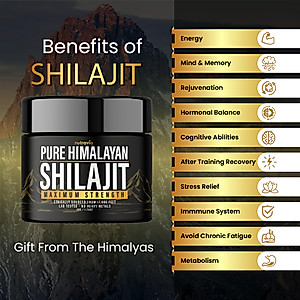 Shilajit Pure Himalayan Organic Resin - Natural Authentic Lab Tested Formula for Men, Women - No Heavy Metals - 600mg Max Strength with 85+ Trace Minerals Golden Grade Shilajit Supplement (1 Pack)