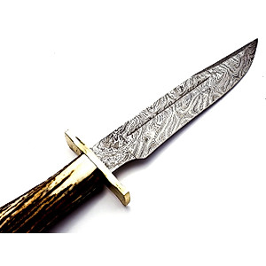 Skokie Knives Damascus Steel Bowie Knife Bull Horn Handle with & Brass Guard –16” Handmade Premium Quality Sharp Edge Fix Blade -Genuine Multipurpose Knife Ideal for Hunting, Camping (Stage B)