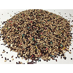 Canary Song Seed 5lb-Improve Singing