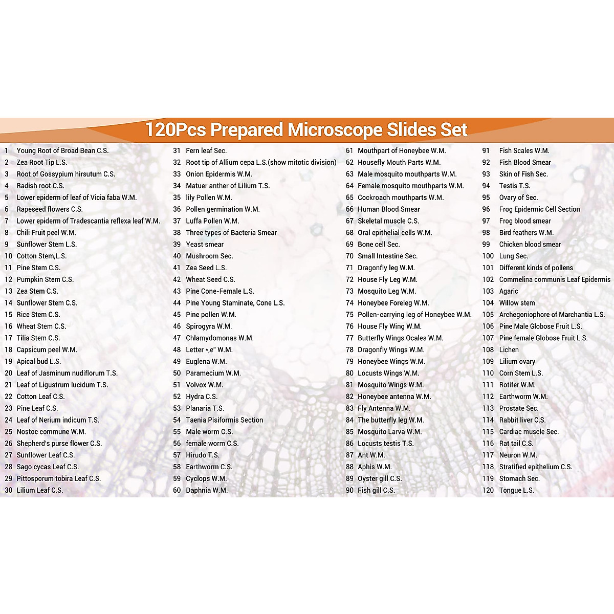 120 Prepared Microscope Slides for Kids & Students, Microscope Glass Slides Set Including Animal & Plant Specimens, Suitable for School and Home Education